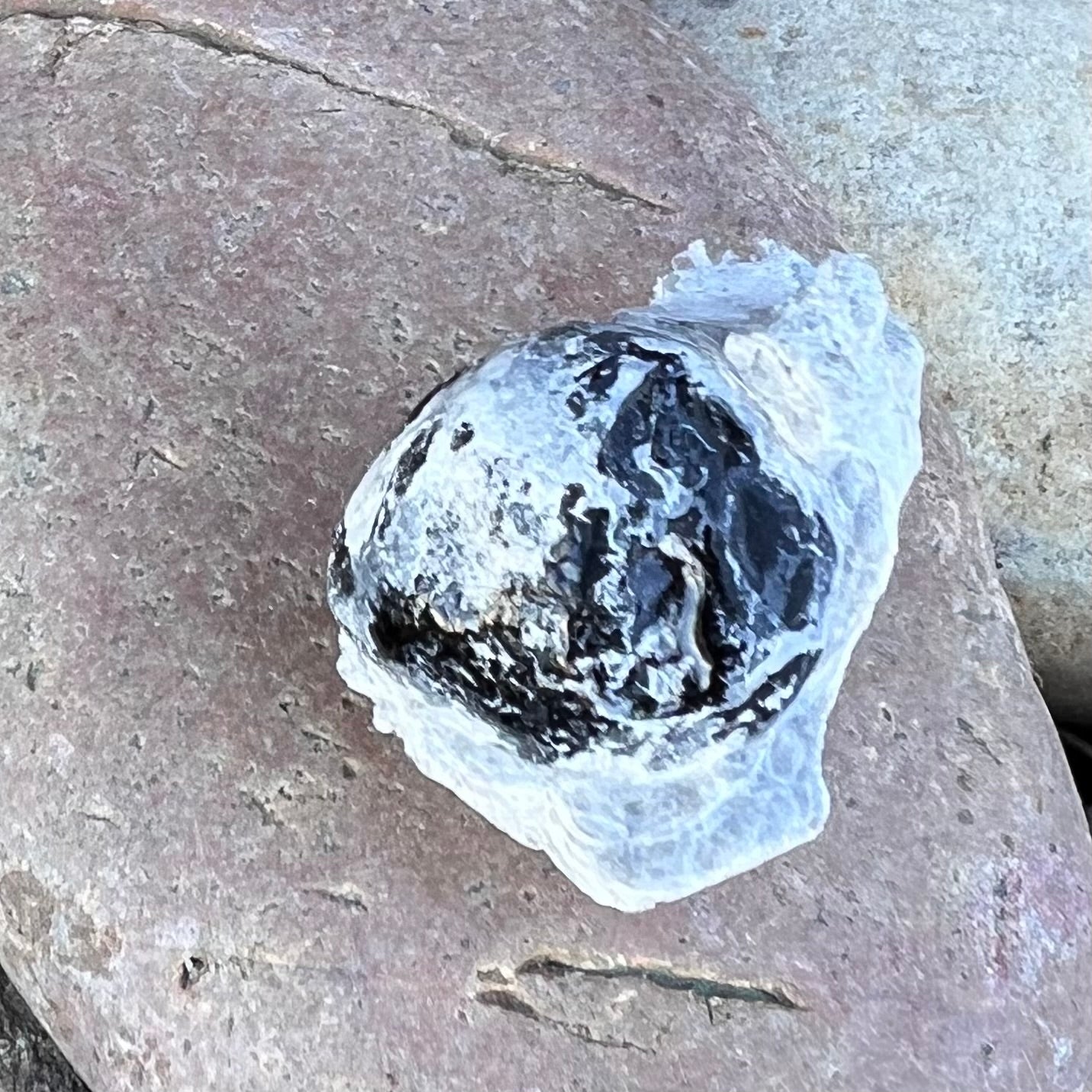 Buy Natural Apache Tears Tumble Stone | Muse Crystals & Mystical Gifts