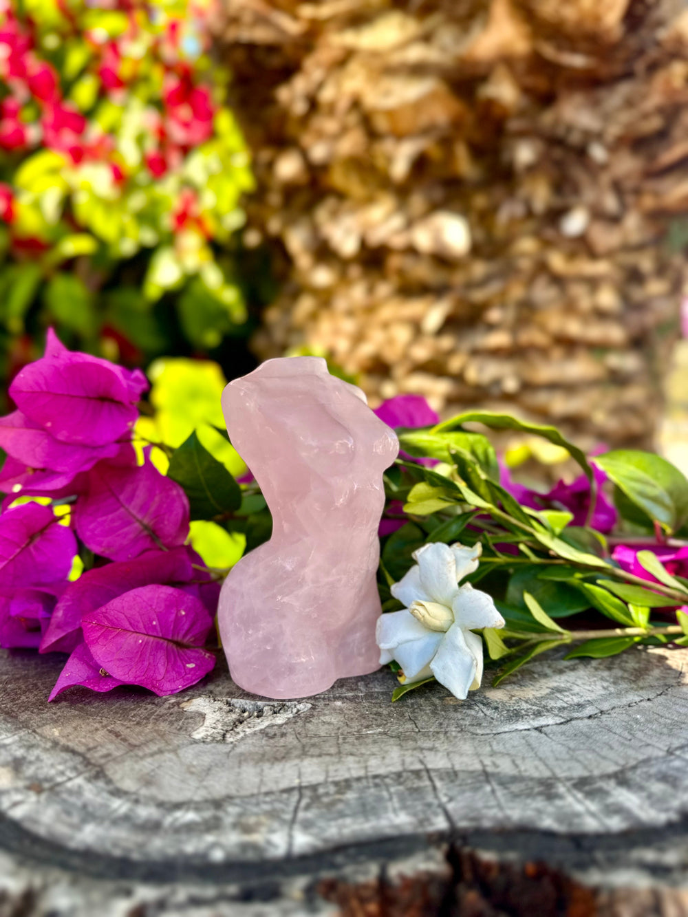 Explore our Unique Crystal Carvings Collection | Muse Crystals ...