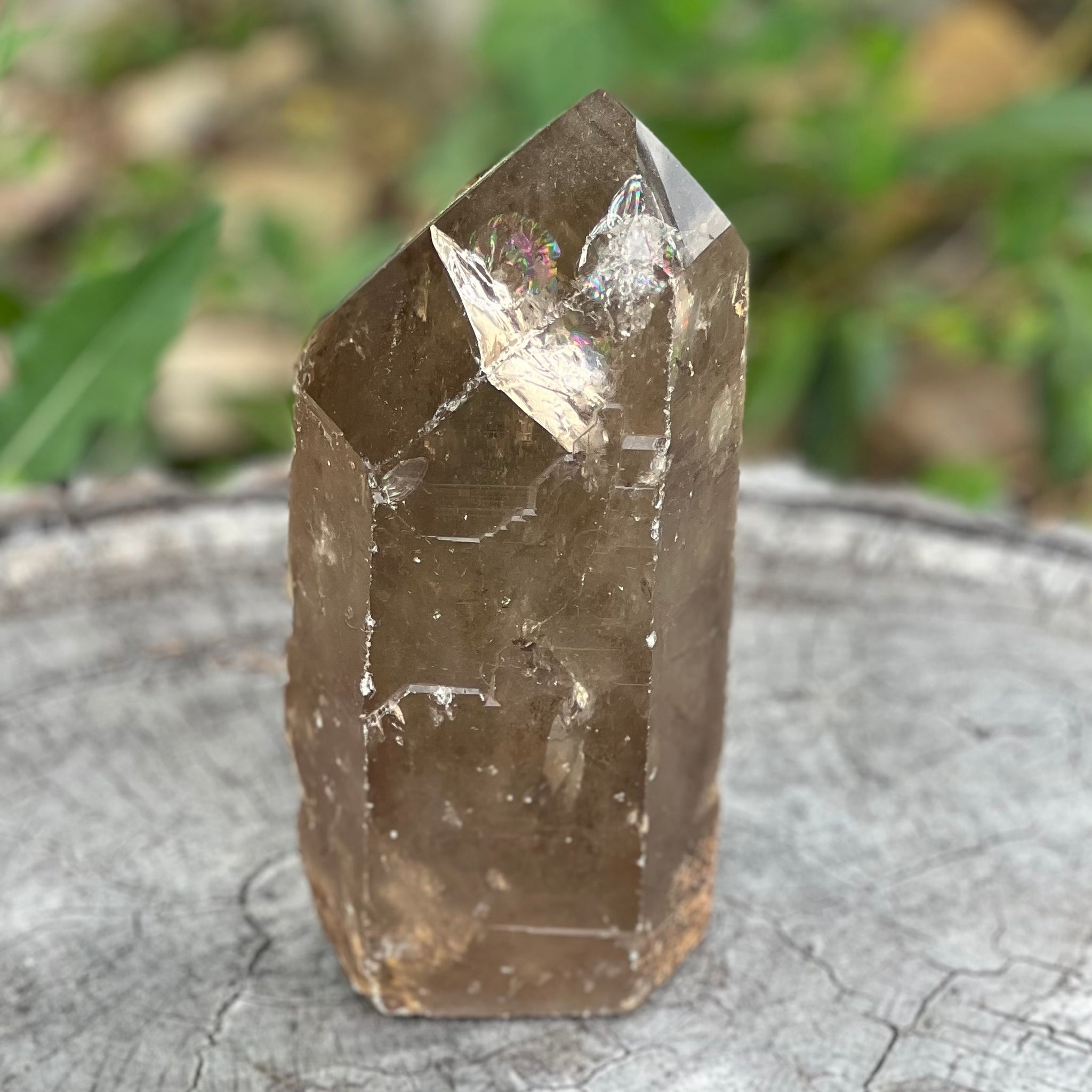 Smoky Quartz Generator Semi Raw Tower – Muse Crystals & Mystical Gifts