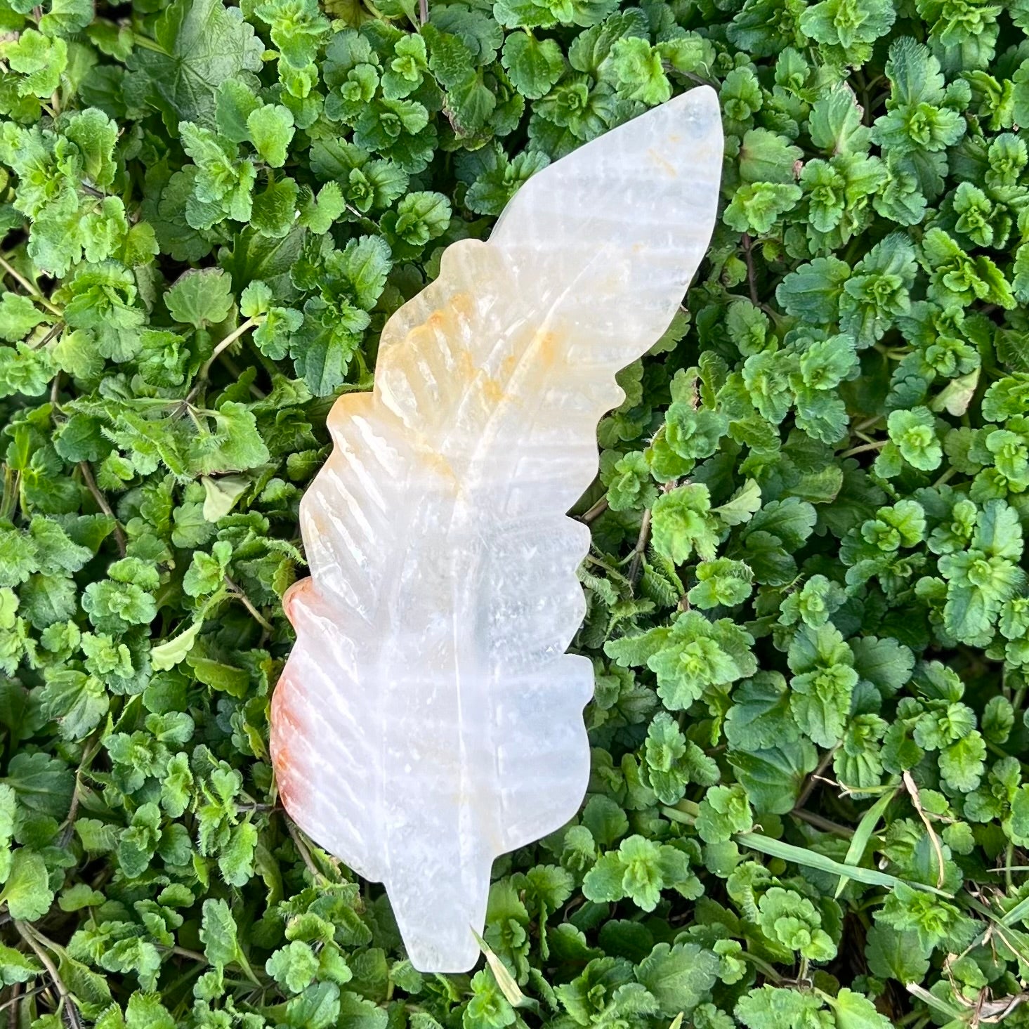 Feather of Divine Healing ~ Golden Healer – Muse Crystals & Mystical Gifts