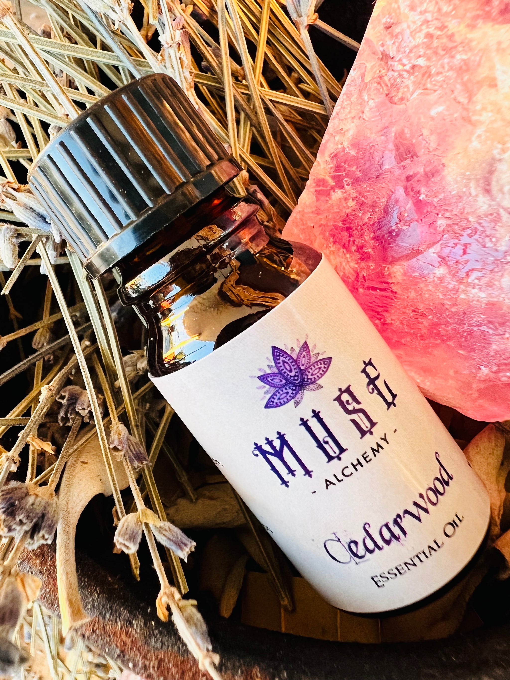 Muse Alchemy ~ Cedarwood Essential Oil 10ml – Muse Crystals & Mystical ...