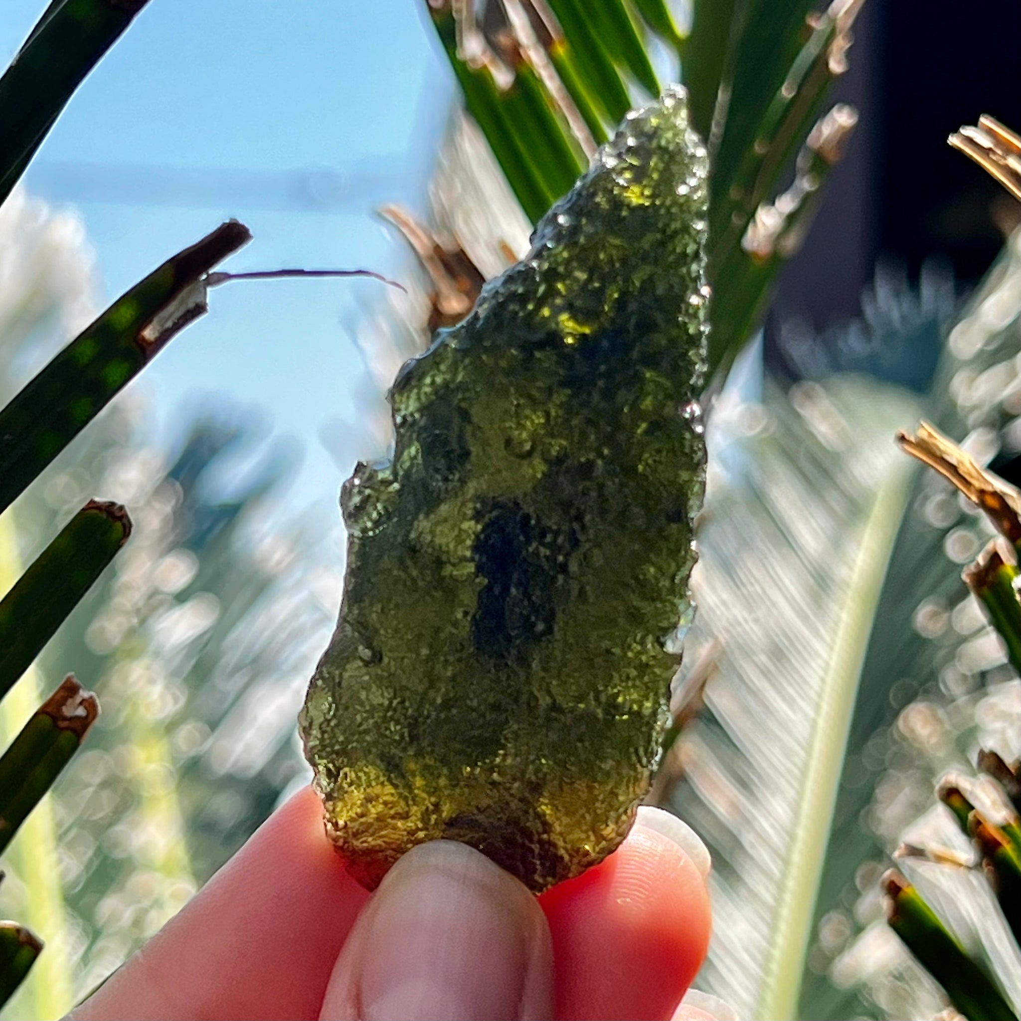 Raw Moldavite Specimen ~ RARE – Muse Crystals & Mystical Gifts
