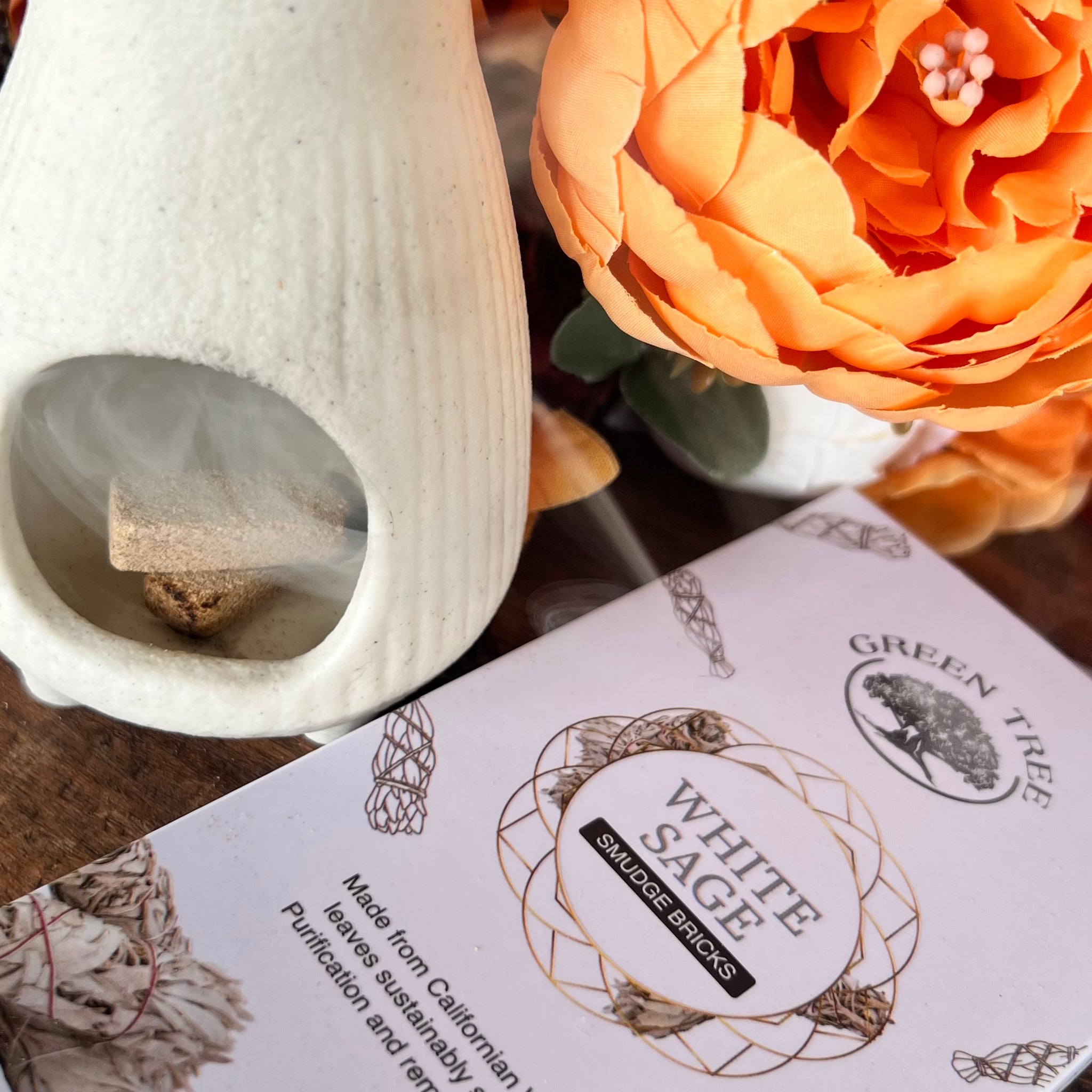 White Sage ~ Smudge Bricks – Muse Crystals & Mystical Gifts