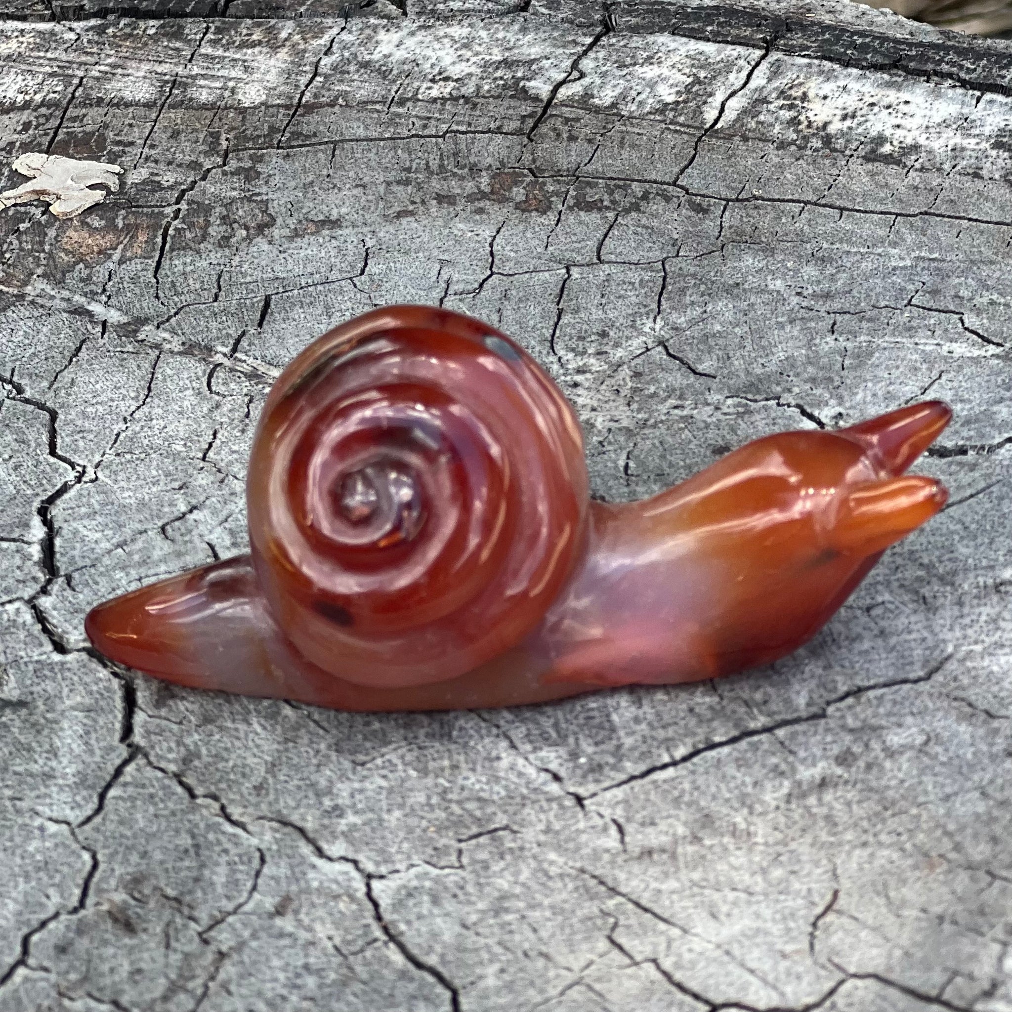 Carnelian ~ Snail of Courage – Muse Crystals & Mystical Gifts