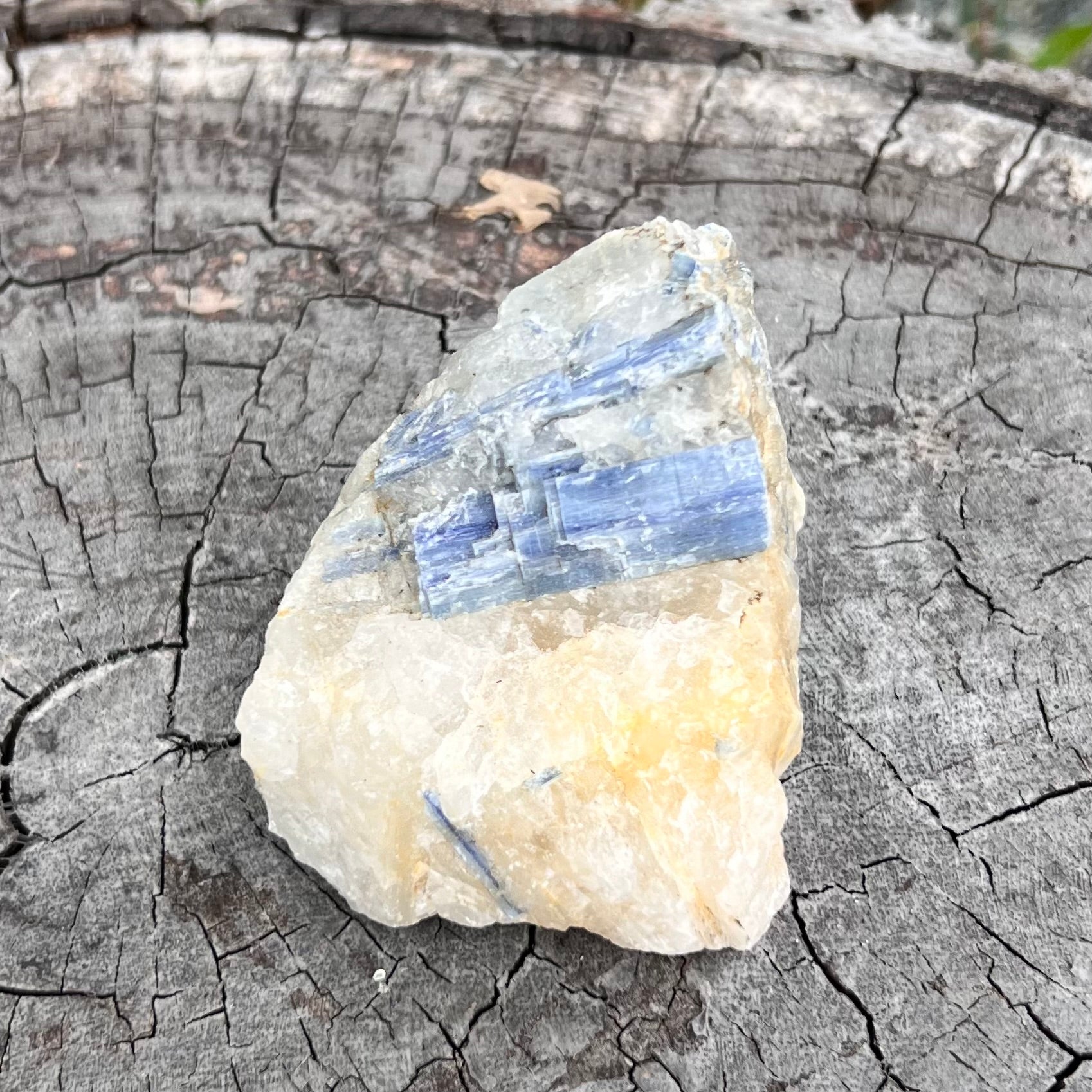 Natural Blue Kyanite in Quartz – Muse Crystals & Mystical Gifts