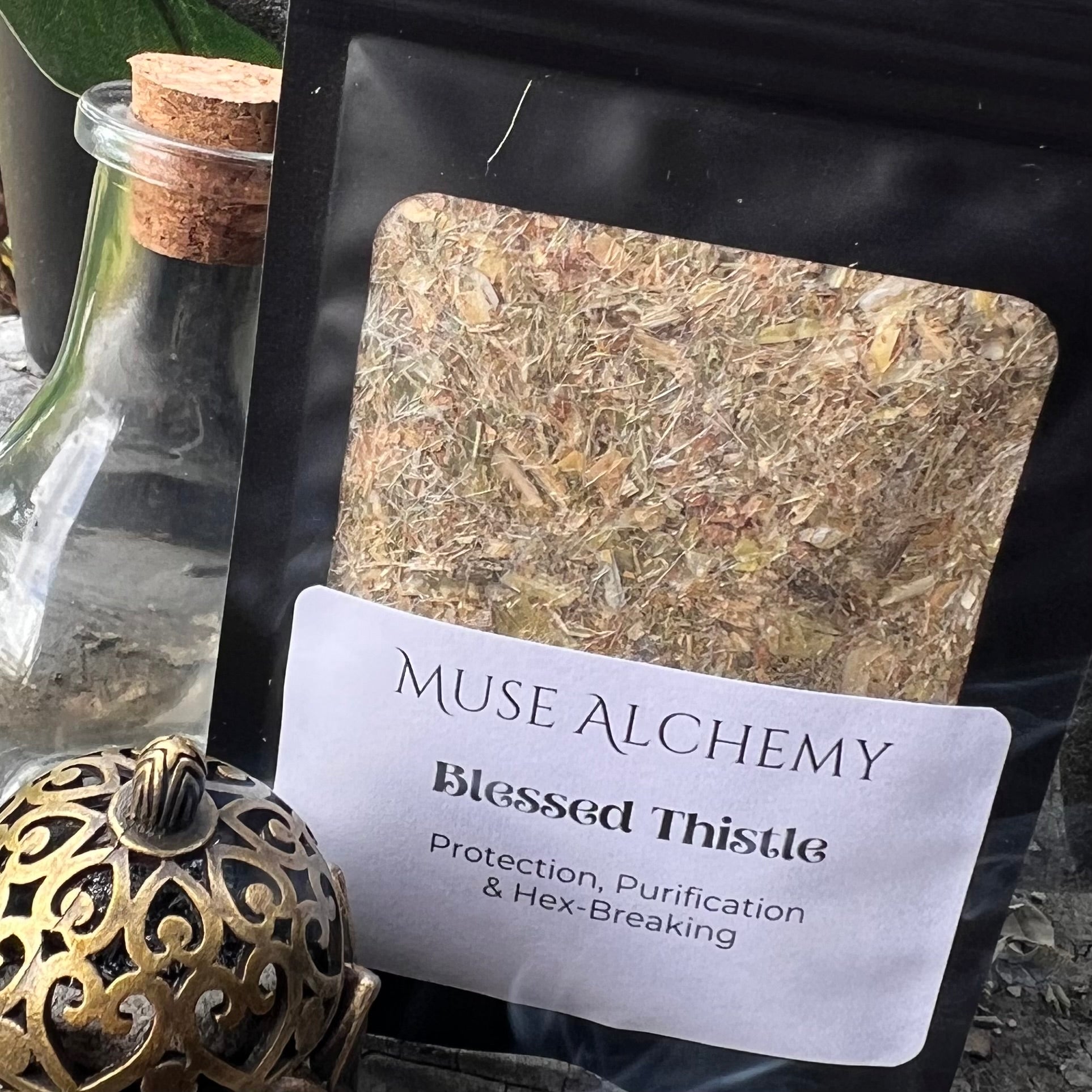 Blessed Holy Thistle ~ Muse Alchemy Botanicals – Muse Crystals ...
