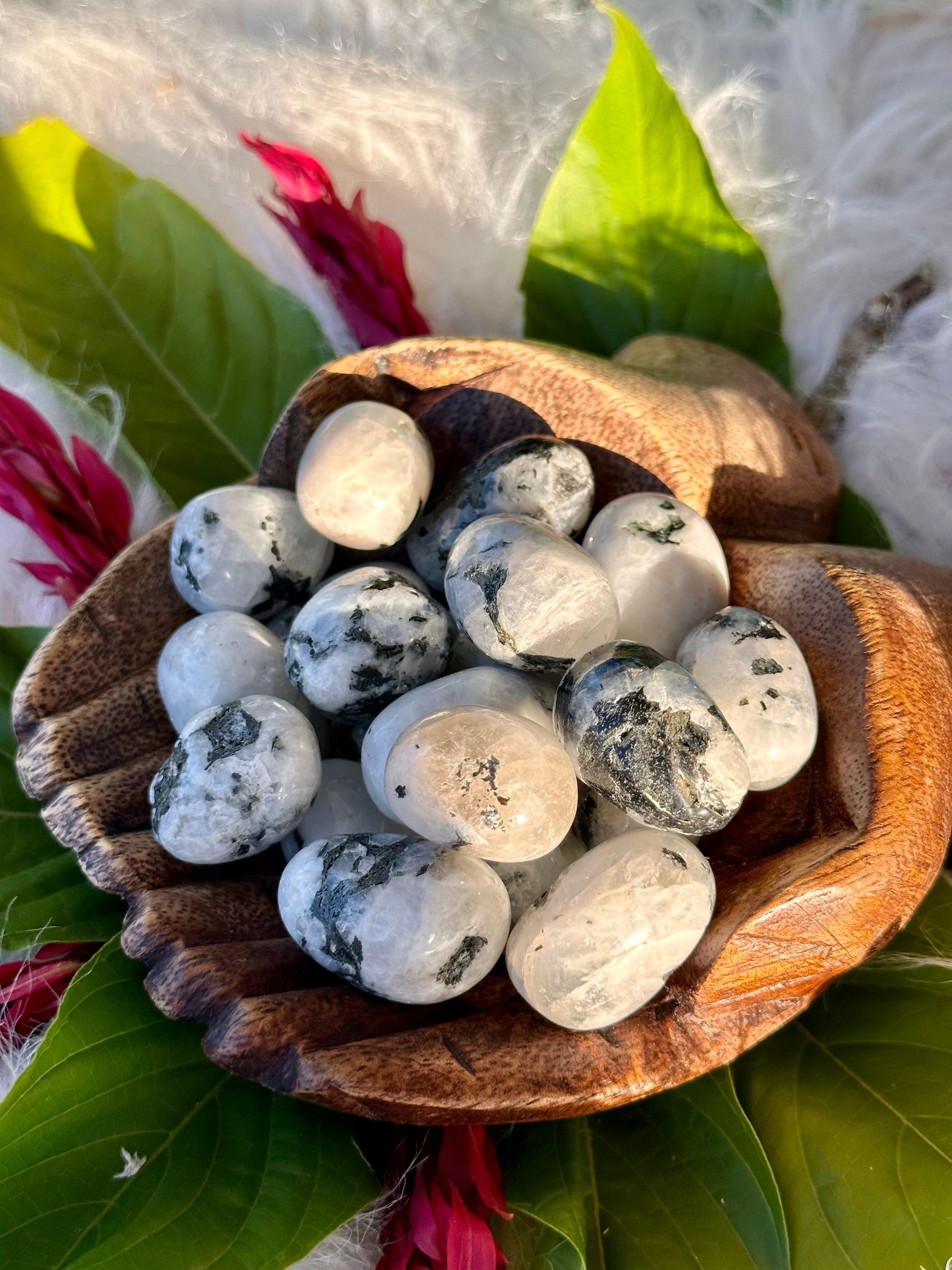 Buy Natural Moonstone Tumble Stone | Muse Crystals & Mystical Gifts